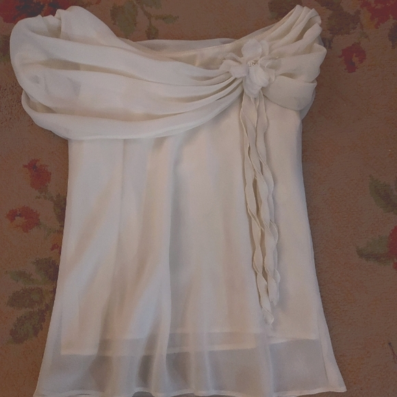 Dress Barn | Tops | Dress Barn Chiffon Top | Poshmark